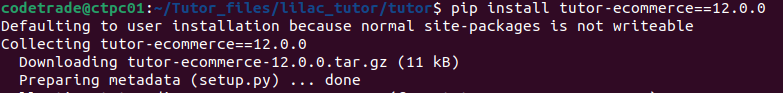 Tutor Dev Lilac Installation: A Step-by-Step Guide | CodeTrade
